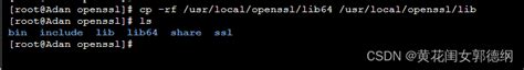 Linux安装python3（超详细）解决can‘t Connect To Url Because The Ssl 的报错yum Install Y Perl Cpan Csdn博客