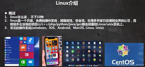 linux 应用领域与介绍 linux系统应用领域图表 csdn博客