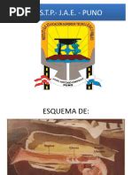 Anatomía Del Aparato Reproductor De La Yegua Pdf Vagina Útero