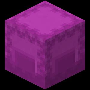 Shulker Armor Stand Fix V Shulker Armor Stand Fix