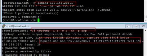 linux网络抓包分析工具tcpdump基础篇[参数说明] 阿里云开发者社区