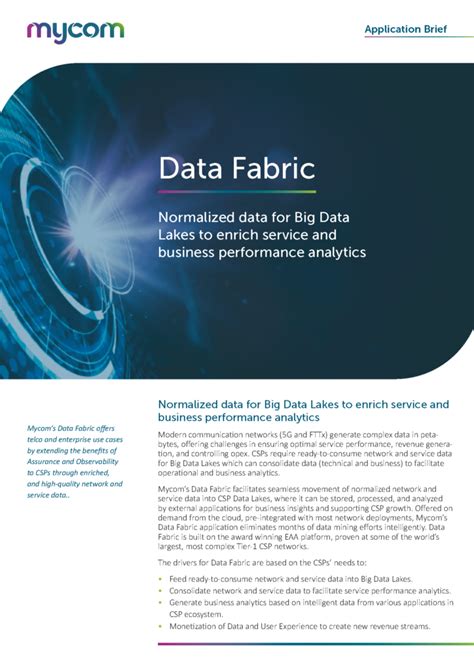 Application Brief Data Fabric Mycom