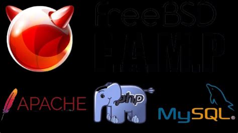 running web server and database server in freebsd jail