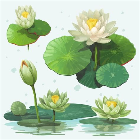 Premium Vector A Drawing Of Water Lilies With The Number 7 On It