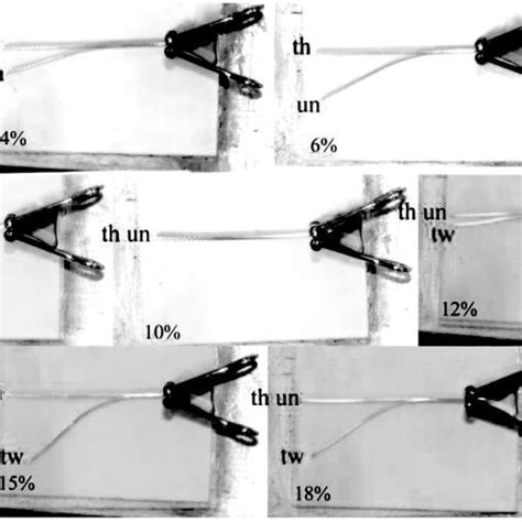 Butterfly Structure Equipped With Niti Niticu Bi Layer Composites Download Scientific Diagram