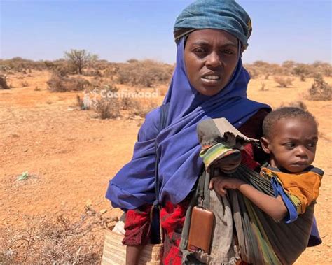 Eng Abdifatah Mohamud Ali On Linkedin 𝐌𝐨𝐛𝐢𝐥𝐞 𝐇𝐞𝐚𝐥𝐭𝐡 𝐔𝐧𝐢𝐭𝐬 𝐋𝐢𝐟𝐞𝐥𝐢𝐧𝐞𝐬 𝐢𝐧…