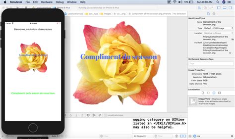 Localization Of Ios App In Swift 4 And Xcode 9 By Onyekachi Ezeoke