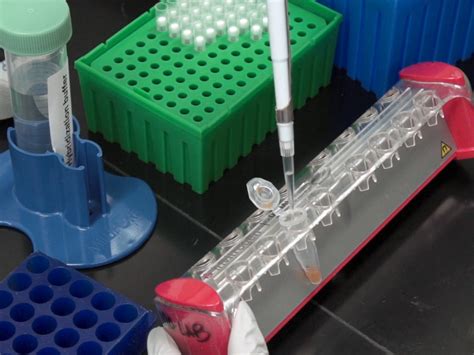 Video Adaptation Of Hybridization Capture Of Chromatin Associated Proteins For Proteomics To