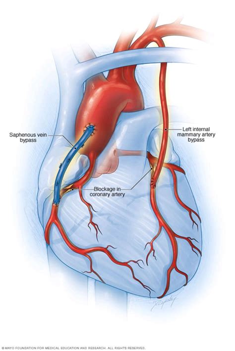 Jameel Ahamed On Linkedin Snsinstitutions Designthinkers