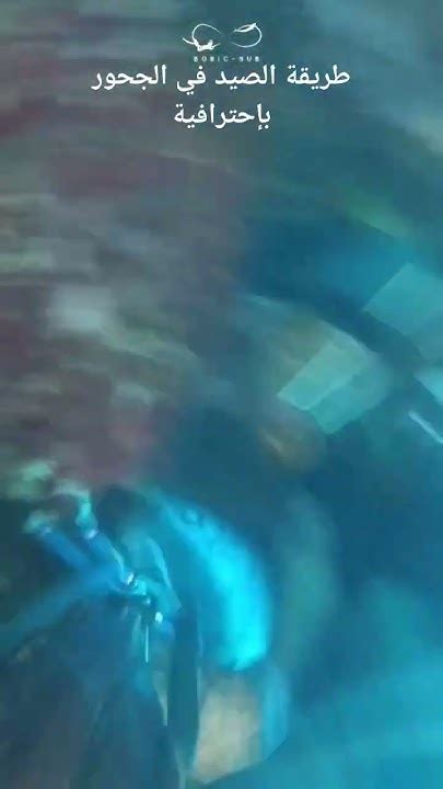 طريقة الصيد في الجحور بإحترافية Youtube