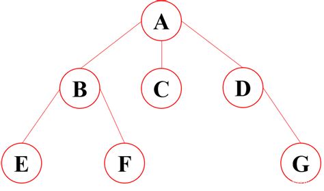 数据结构与算法之树结构基础双亲节点 Csdn博客