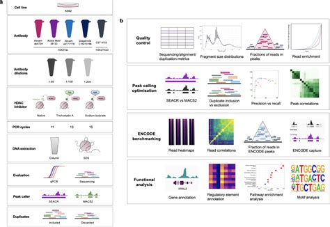 Figure 1 From Cutandtag Recovers Up To Half Of Encode Chip Seq Peaks In Modifications Of H3k27
