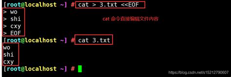 shell免交互与expect交互 csdn博客