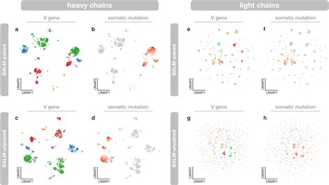 figure 2 from improving antibody language models with native pairing