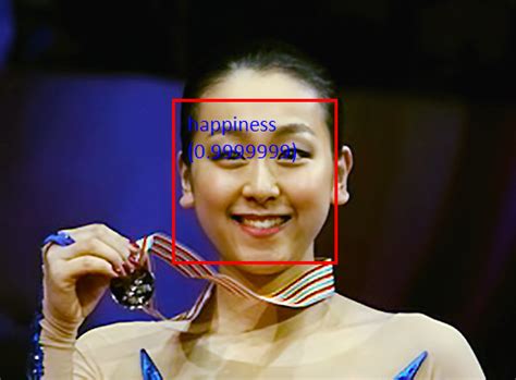 NET 开源功能强大的人脸识别 API 人脸识别认证api CSDN博客