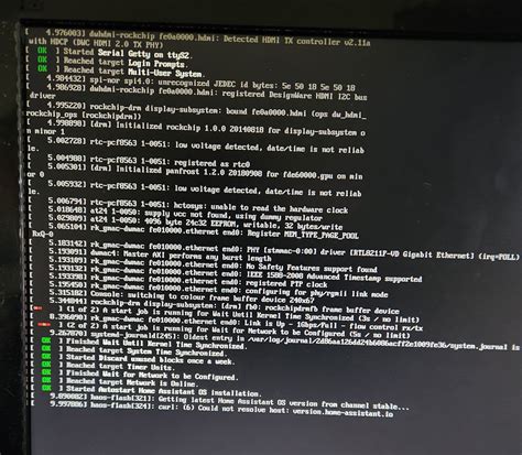 Home Assistant Cli Not Starting Jump Into Emergency Console Home