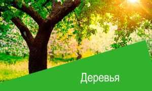 Актара для комнатных растений – инструкция по применению и полив
