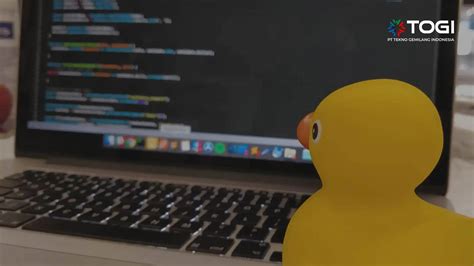 fungsi debugging tips cara kerja dan penjelasannya