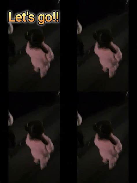 저녁 산책 다인 저녁산책 강아지랑 엄마랑 할머니와손녀 Youtube