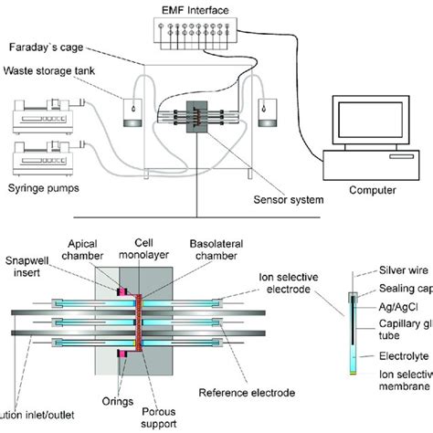 The Measuring System Dismountable Measuring Platform Houses Download Scientific Diagram