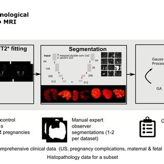The Proposed Algorithm Is Presented In The Grey Box Together With Input Download Scientific
