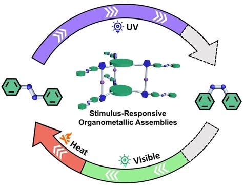 Stimulus‐responsive Organometallic Assemblies Based On Azobenzene‐functionalized Poly‐nhc