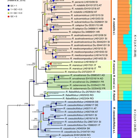 A Maximum Likelihood ML Tree Of 45 Sexual Species Of The R Download Scientific Diagram
