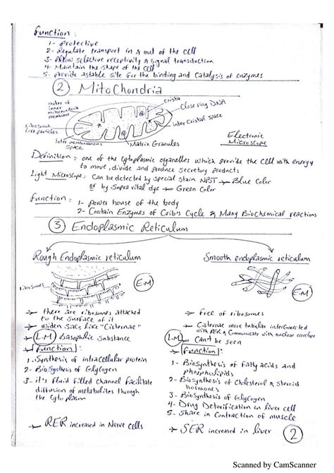 SOLUTION Histology Introduction Studypool