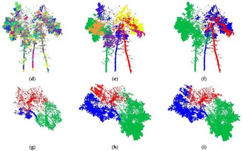 Remote Sensing Free Full Text 3d Graph Based Individual Tree Isolation Treeiso From