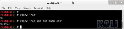 The Evil Bit Blog Radare2 Reverse Engineering Framework Rasm2