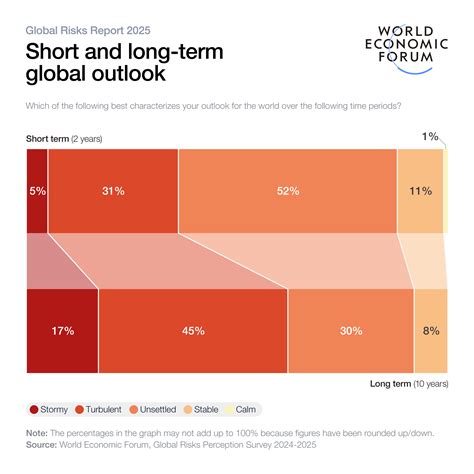 Global Risks Report 2025 Conflits Environnement Et Désinformation