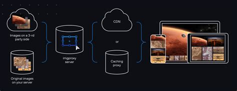Optimize Images And Serve Webp In Wordpress With Nginx And Imgproxy