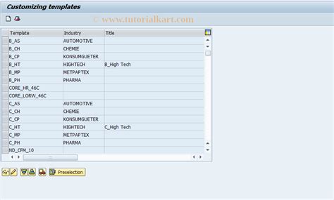 STEMPLATE SAP Tcode Customizing Templates