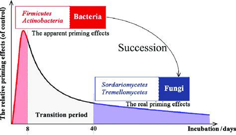 Graphical Speculation Of A Microbial Community Succession From The