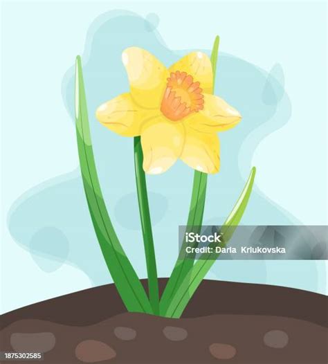 토양에 수선화가 핀다 만화 벡터 일러스트 레이 션입니다 0명에 대한 스톡 벡터 아트 및 기타 이미지 0명 개화기 계절 Istock