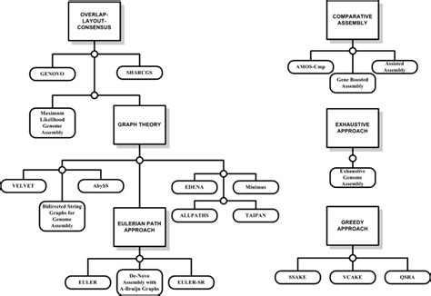 Schemes And Their Associated Algorithms The Figure Depicts The Most Download Scientific Diagram