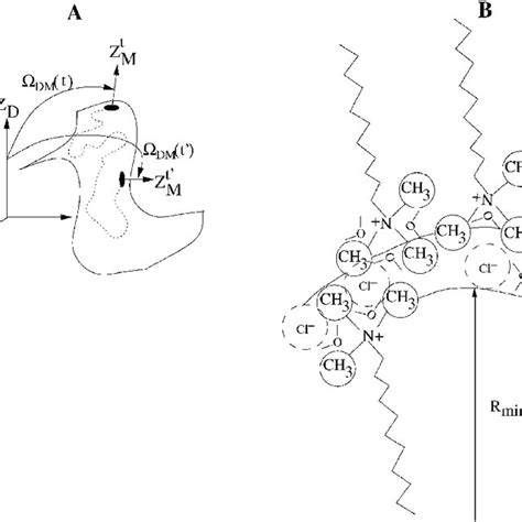 A List Of The Coordinate Transformations Considered The Euler Download Scientific Diagram