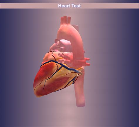 D Webgl Framework Tests Behance