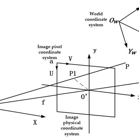 World Coordinate System Diagram Download Scientific Diagram