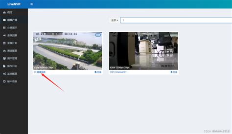livenvr监控流媒体onvif rtsp功能 海康大宇视天地伟业sdk接入拉转直播流文件isup接入转换成视频直播流地址输出rtsp