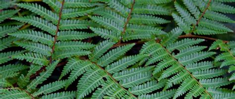 Dyamic Validation Using Fluentvalidation By David Lambert Medium