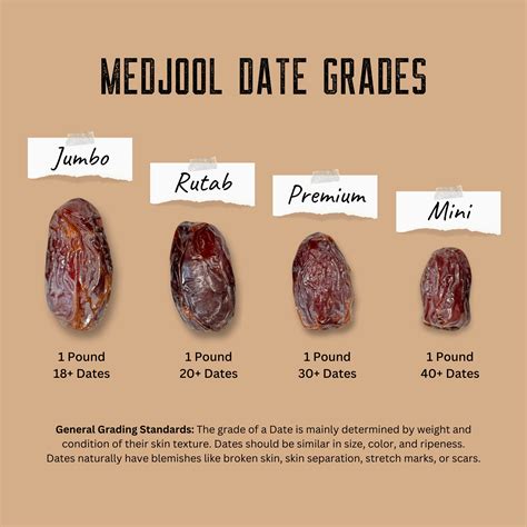 Organic Mini Medjool Dates Box Coachellas Best Dates