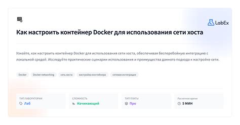 Как настроить контейнер Docker для использования сети хоста Labex