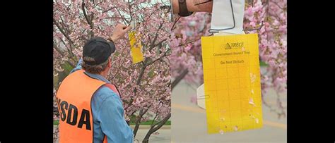 Tom Colarusso On Linkedin Hiring Opportunities Team Recruitment