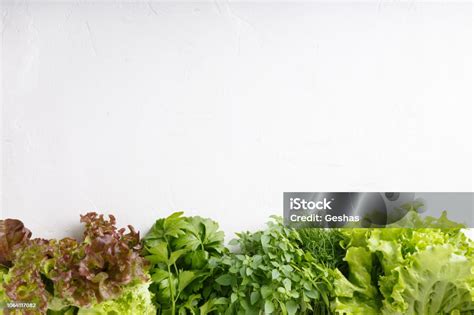 흰색 바탕에 신선한 아로마 요리 허브입니다 상 추 딜 셀러리 잎 및 작은 잎된 바 질 허브의 부엌 정원입니다 최고의 볼 수