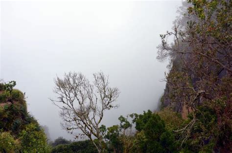 Devils Kitchen Kodaikanal What To Expect Timings Tips Trip Ideas By Makemytrip