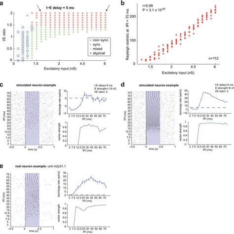 schematic of synchronized and non synchronized responses from auditory