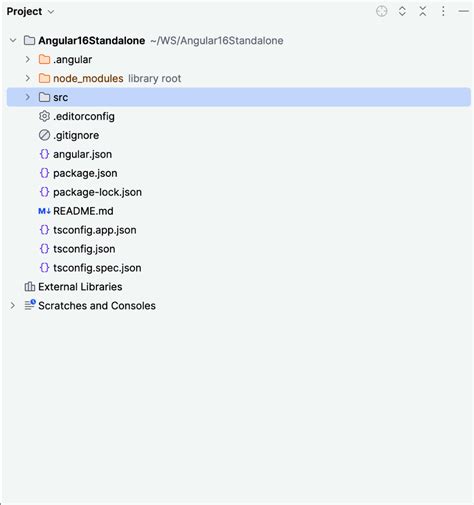 Angular Phpstorm Documentation