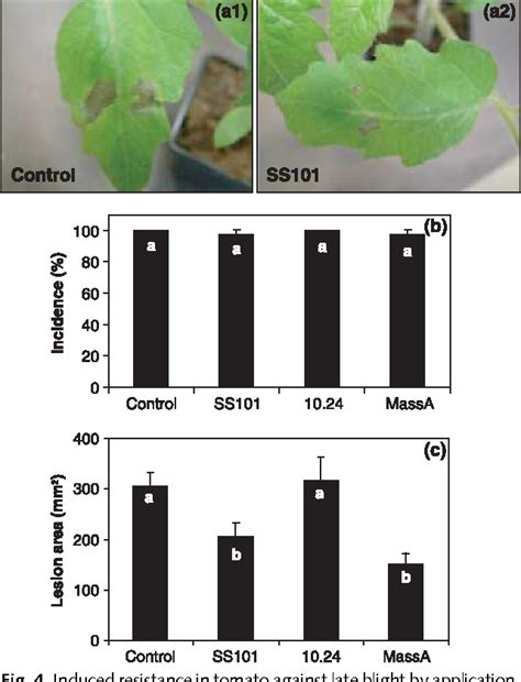 Phytophthora Infestans Semantic Scholar