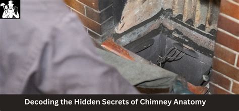 Decoding The Hidden Secrets Of Chimney Anatomy